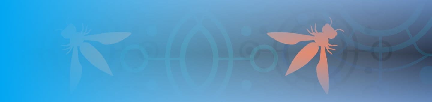 OWASP ASVS 4.0 Certification for Large Web Application OWASP ASVS 4.0 Certification for Large Web Application